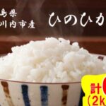 薩摩川内市産ひのひかり 6kg （2㎏×3） BS-217 米 精米 五つ星お米マイスター - ふるさと納税返礼品 薩摩鹿児島県 薩摩川内市応援サイト